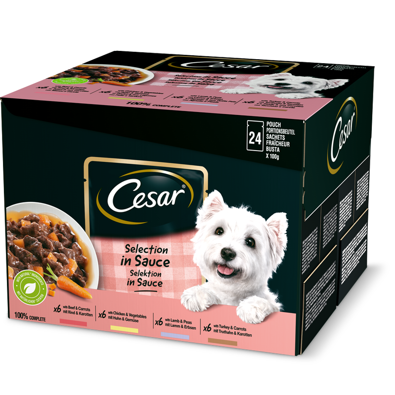 Cesar Dog Adult Selezione in Salsa 24x100 gr| L'Isola dei Tesori