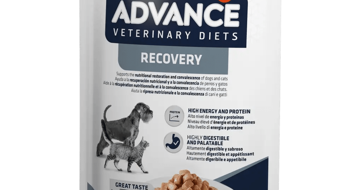 Advance Veterinary Recovery 100 gr | L'Isola dei Tesori