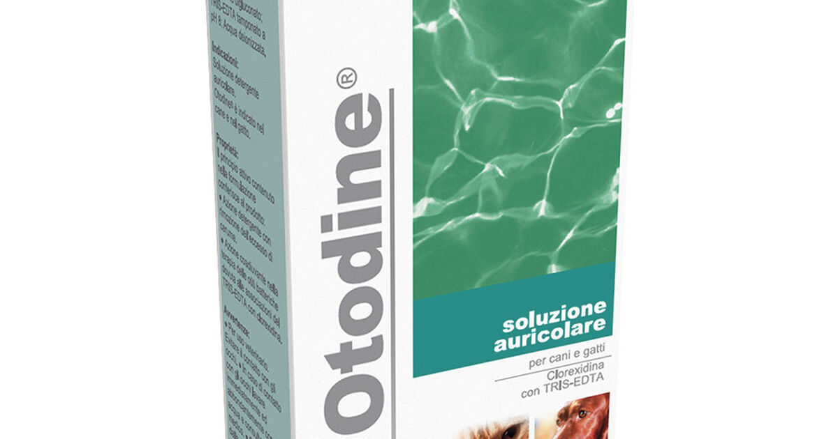 I.c.f Otodine detergete auricolare 100 ml|L'Isola dei Tesori