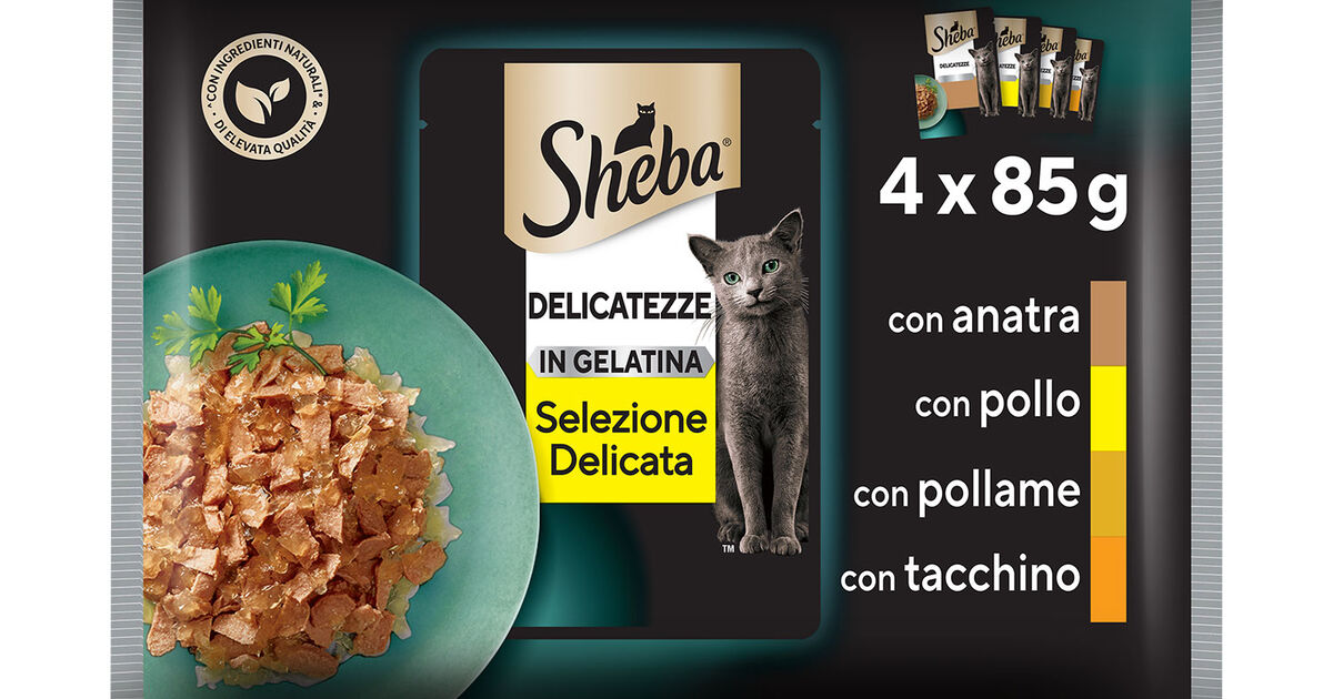 Sheba Cat Delicatezze in Gelatina Selezione Delicata 4 pz x 85 gr | L ...