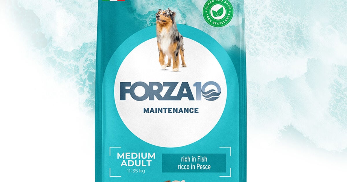 Forza10 Dog Medium Adult Maintenance al Pesce 2 kg | L'Isola dei Tesori