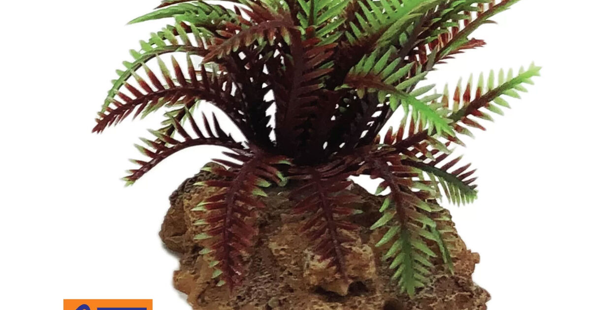 Blu Bios Dekor Felce Rossa |L'Isola dei Tesori