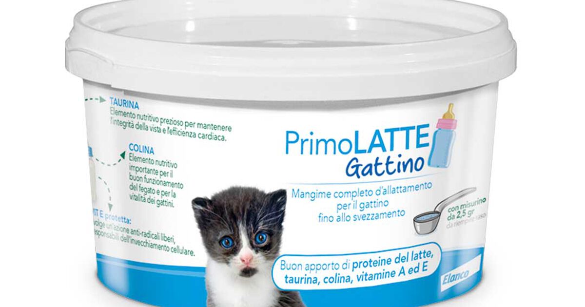 Bayer Primo Latte gattino 200gr | L'Isola dei Tesori