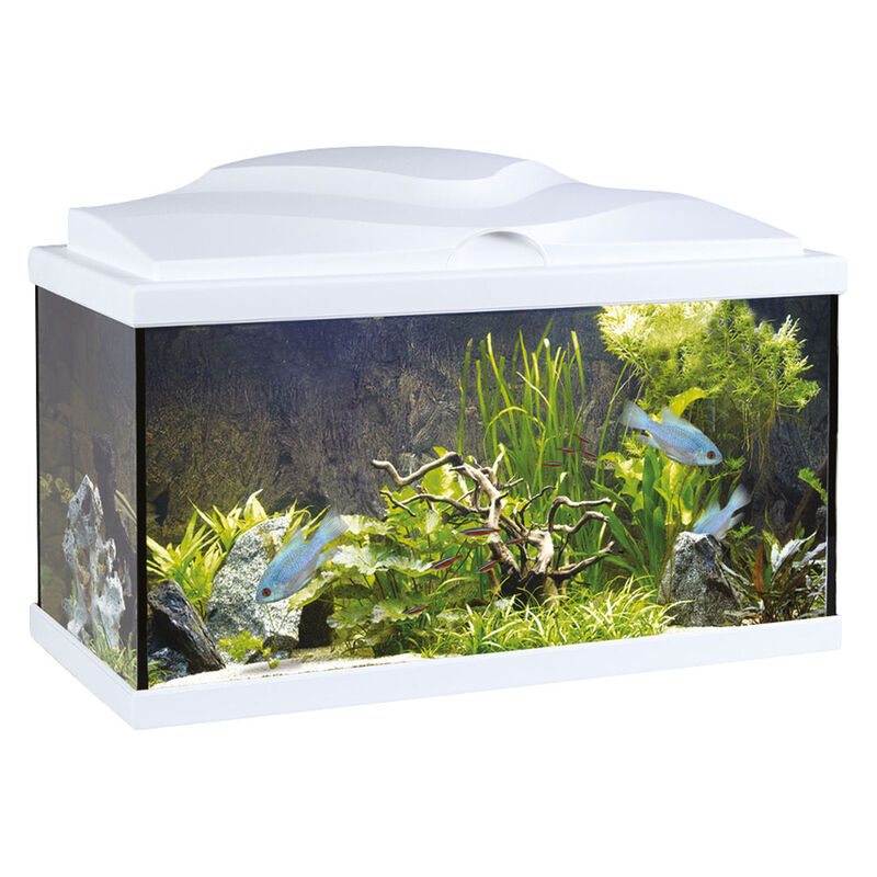 Ciano Acquario Aqua 60 LED | L'Isola dei Tesori